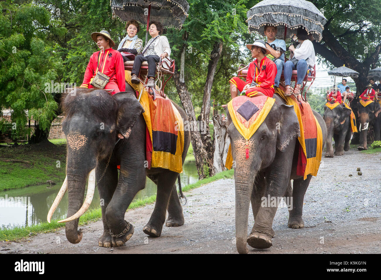Elephant Ride, Historical park, Ayuthaya, Thailand Stock Photo - Alamy