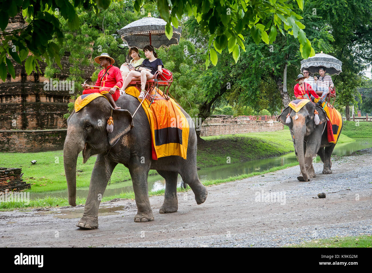 Elephants carrying tourists hi-res stock photography and images - Alamy