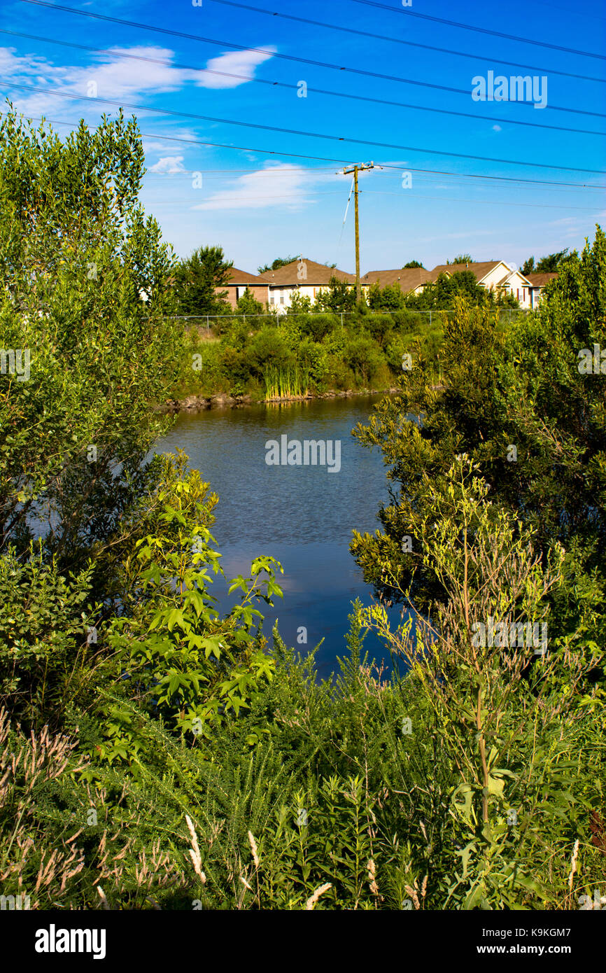 Deep dissection hi-res stock photography and images - Alamy