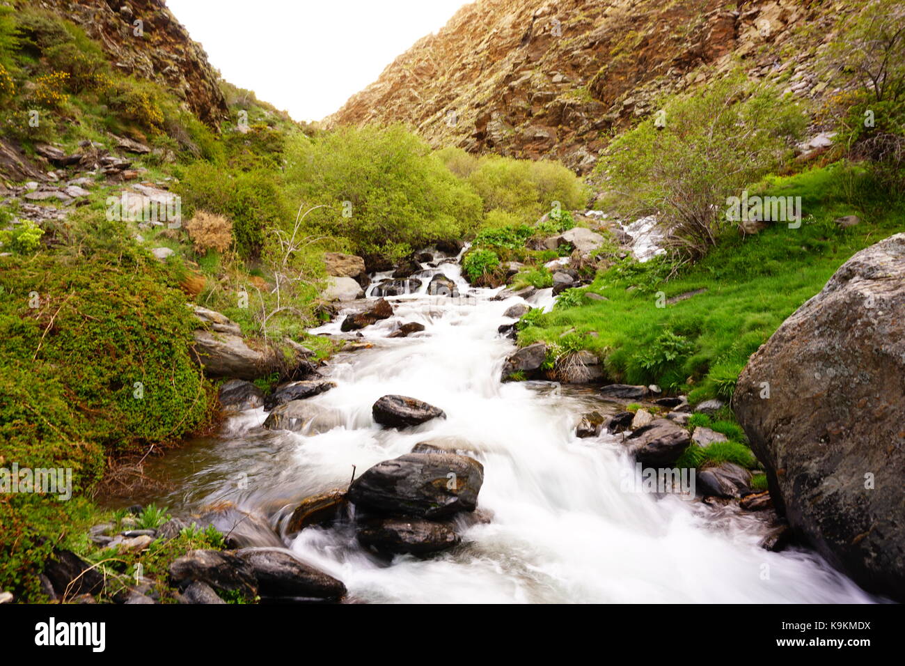 Nature photos hi-res stock photography and images - Alamy