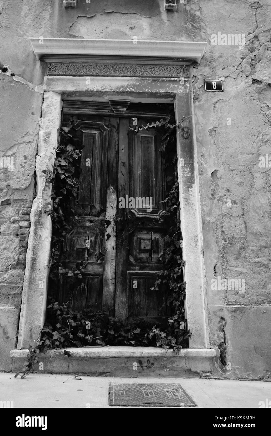 Sea and jungle Black and White Stock Photos & Images - Alamy