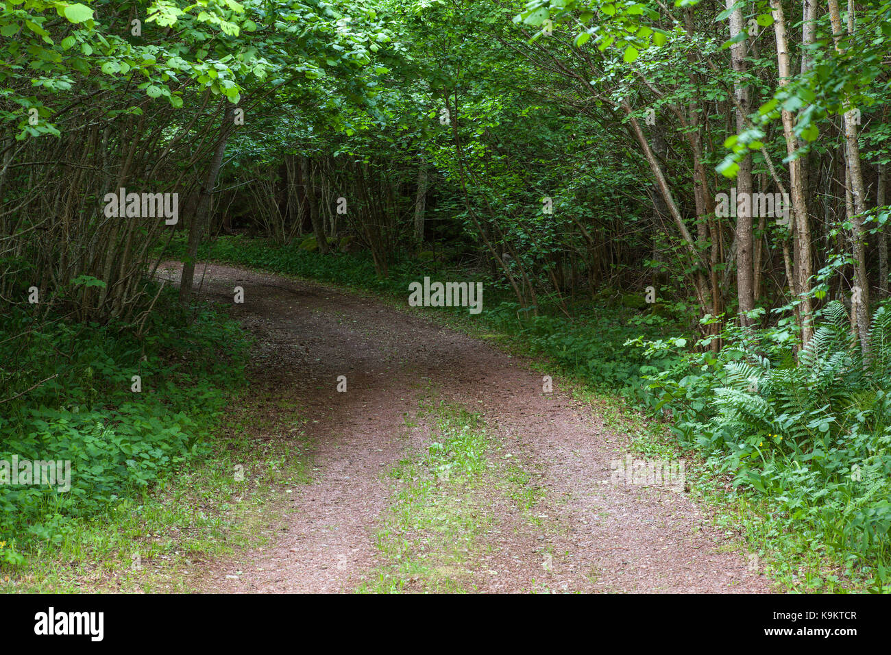 Dark under covers hi-res stock photography and images - Alamy