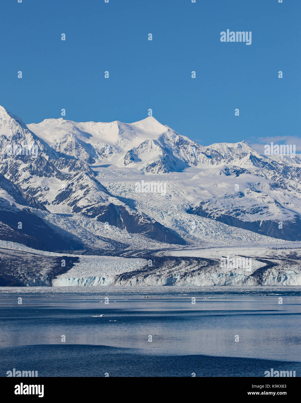 Alaska glaciers in college fjord hi-res stock photography and images ...
