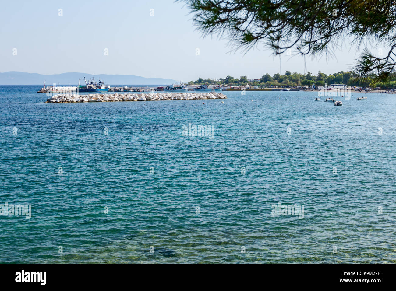View through conifer canopy on beautiful shallow turquoise water with ...
