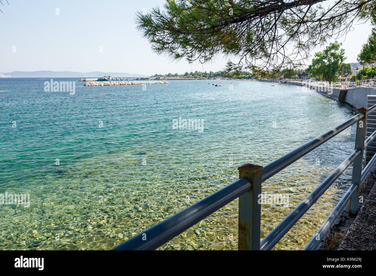 View through conifer canopy on beautiful shallow turquoise water with ...