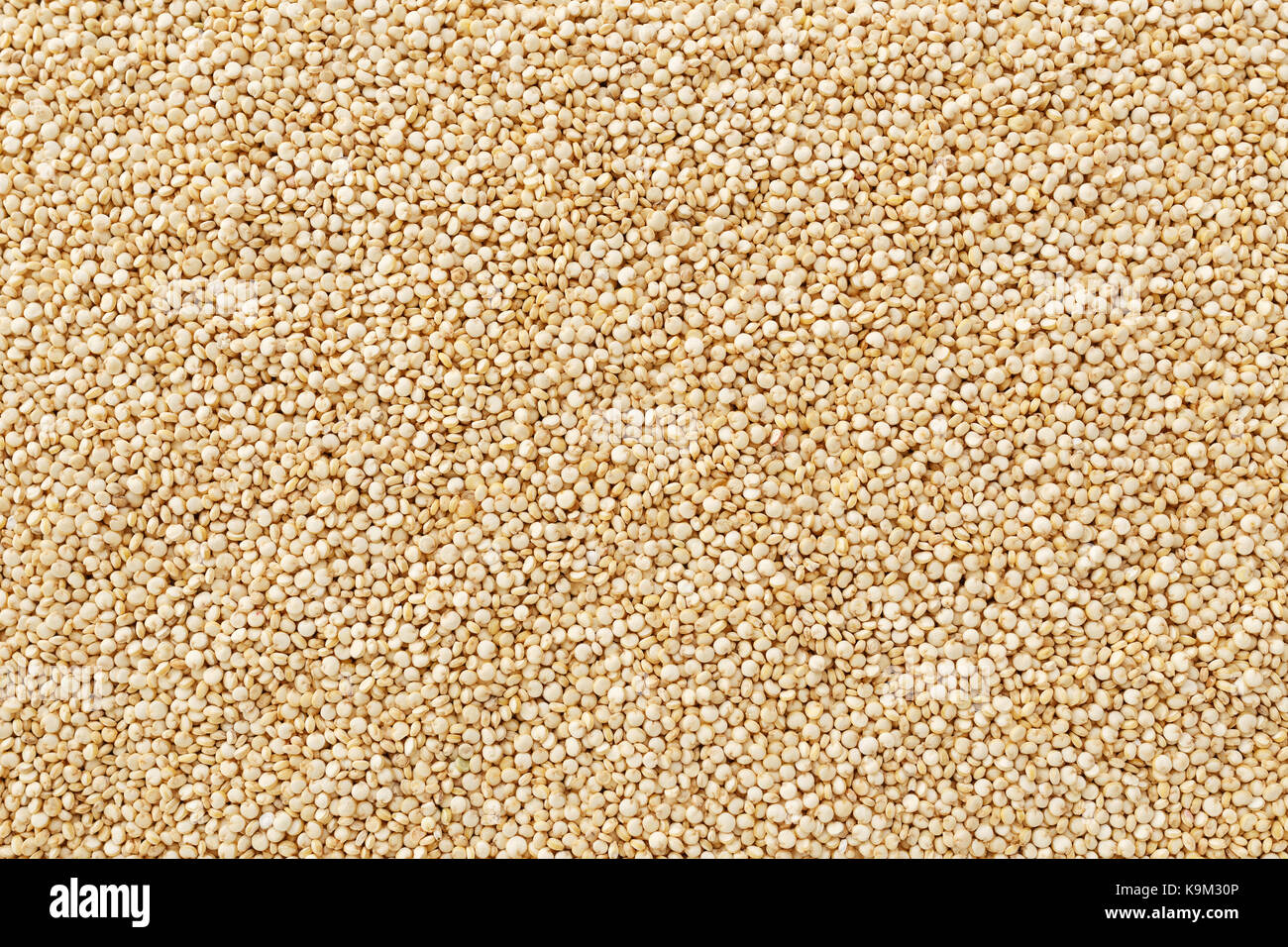 Quinoa seeds closeup background and texture Stock Photo - Alamy