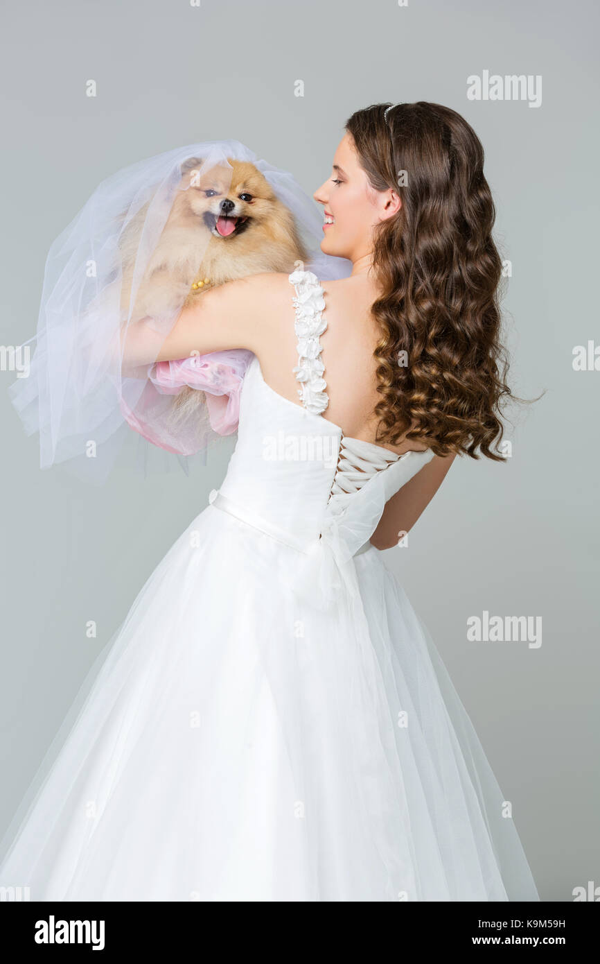 beautiful bride young woman holding spitz dog bride in skirt and veil ...