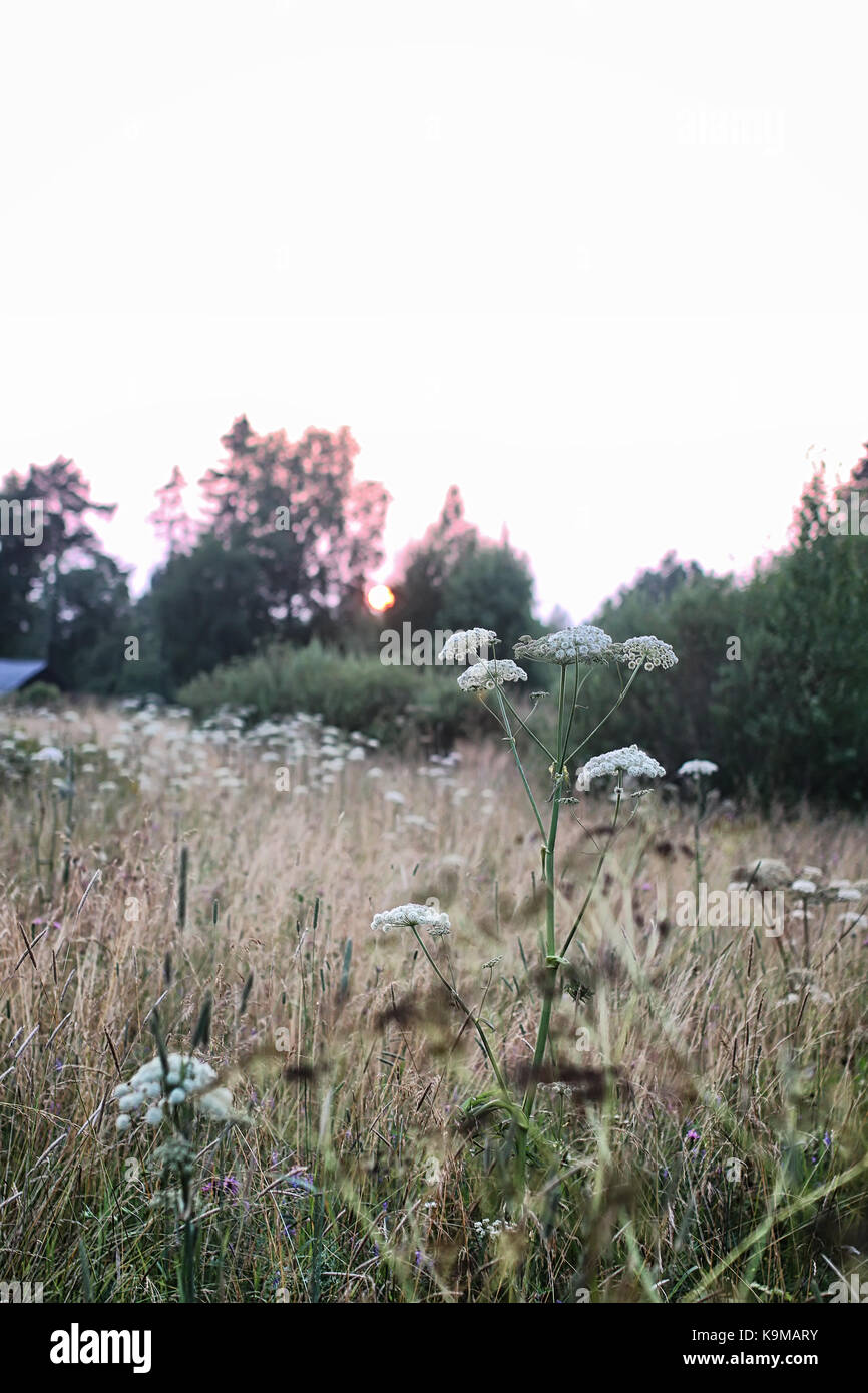 field house landscape sunset countryside Stock Photo - Alamy