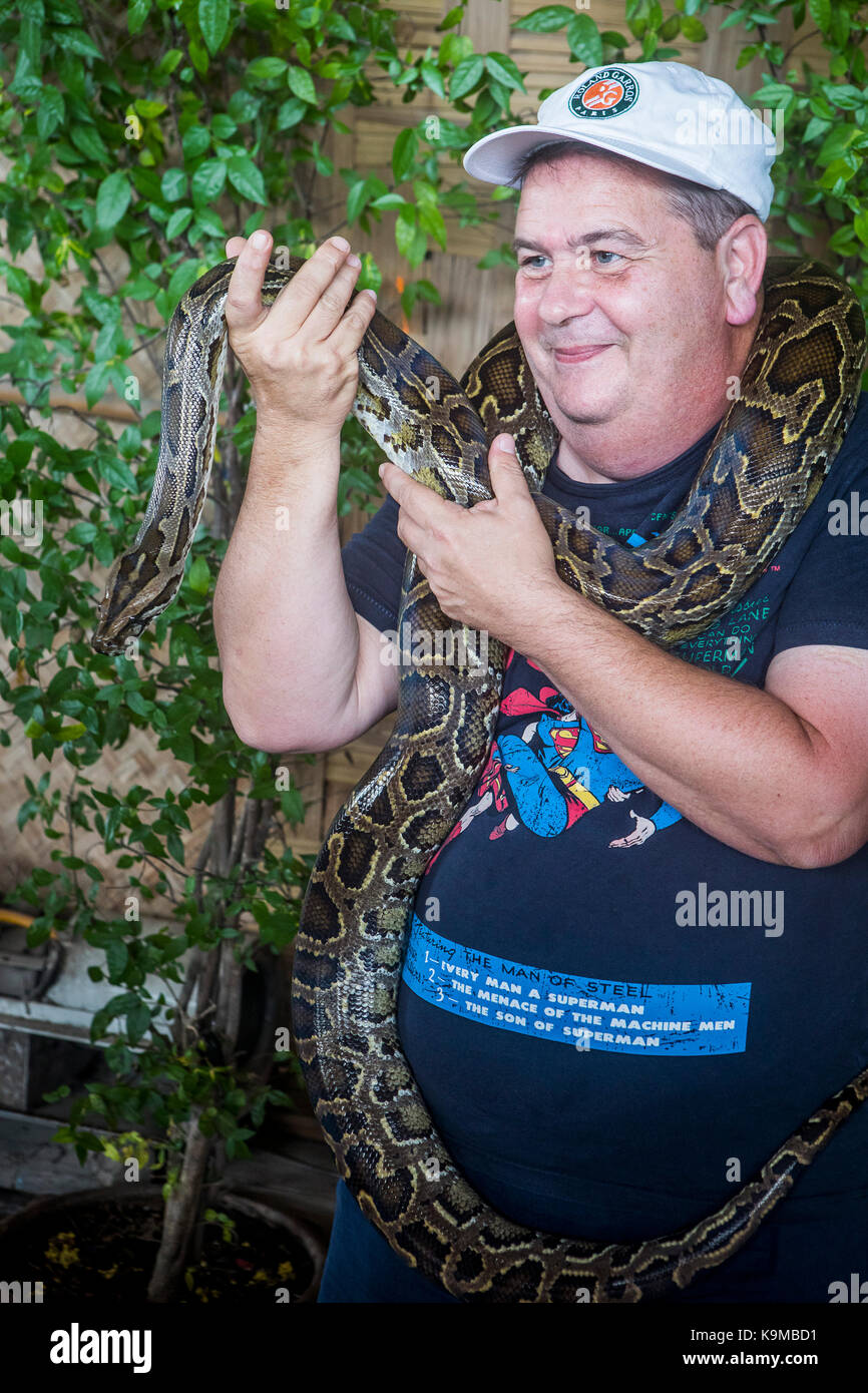 Tourist souvenir photo, Man poses with a Python snake, in Floating ...