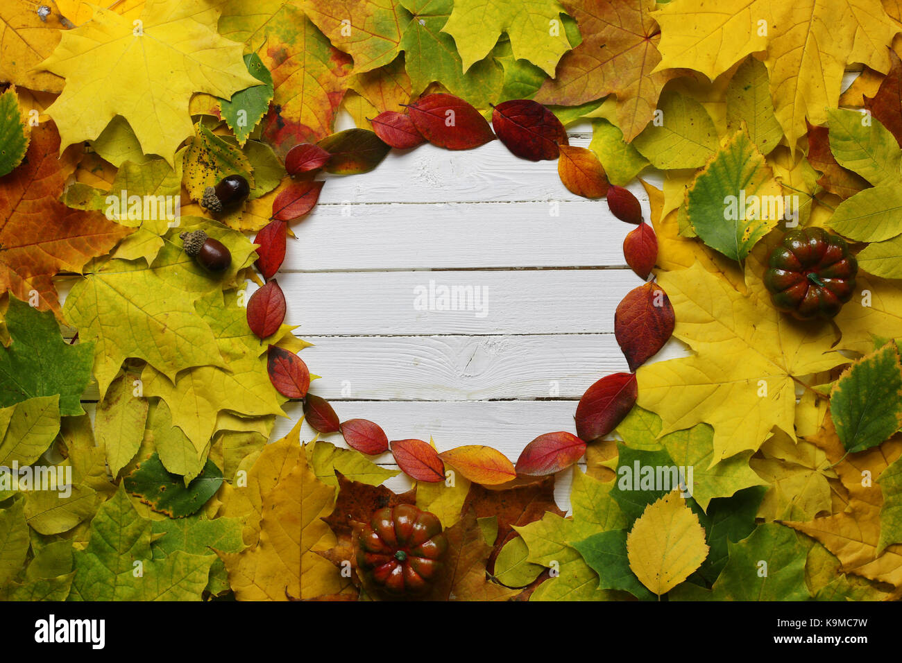 autumn leaves background shape round Stock Photo - Alamy