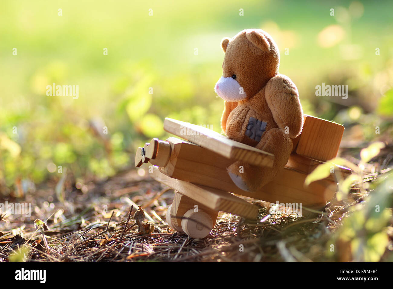 alone toy on the ground Stock Photo - Alamy