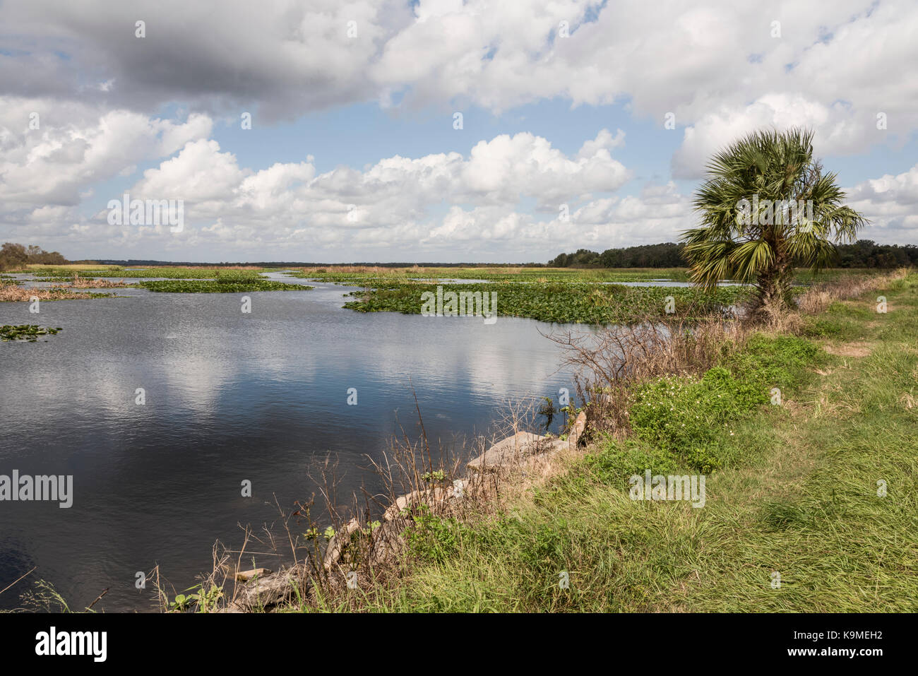 The Emeralda Marsh Conservation Area in Leesburg, Florida Stock Photo ...