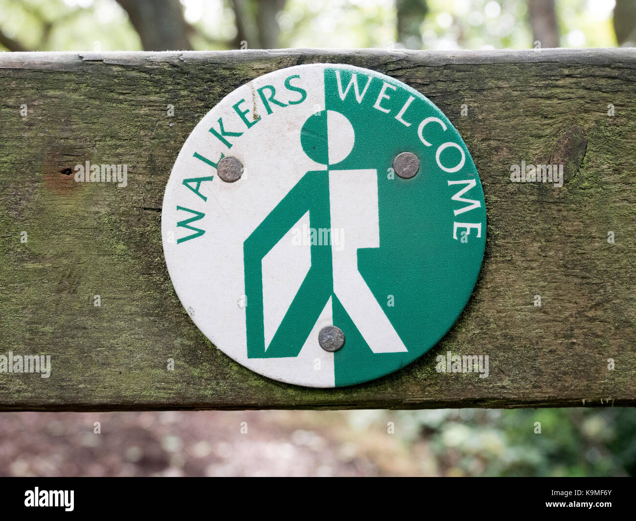Walkers Welcome Logo Alan Walker Welcome To Walker World (Lyric
