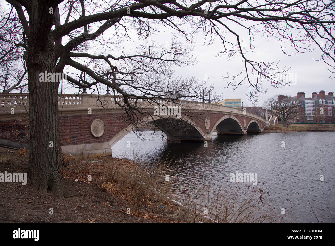 The Charles W. Weeks Bridge is a foot bridge that spans the Charles ...