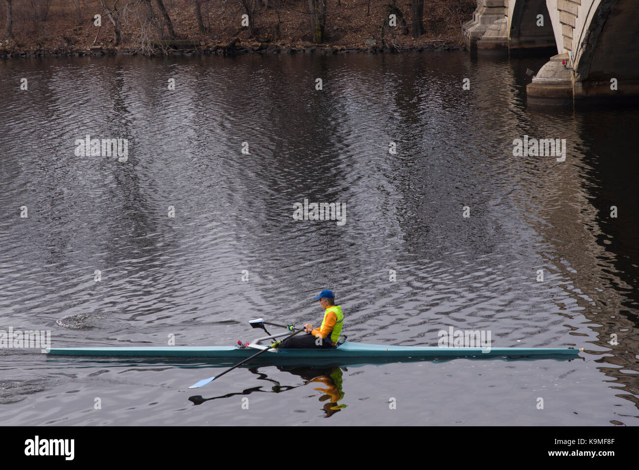 Man scullling on the Charles River, between Boston and Cambridge, MA ...