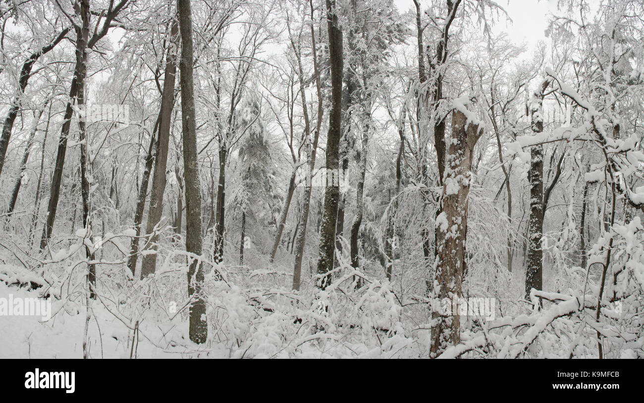 Breakheart reservation hi-res stock photography and images - Alamy