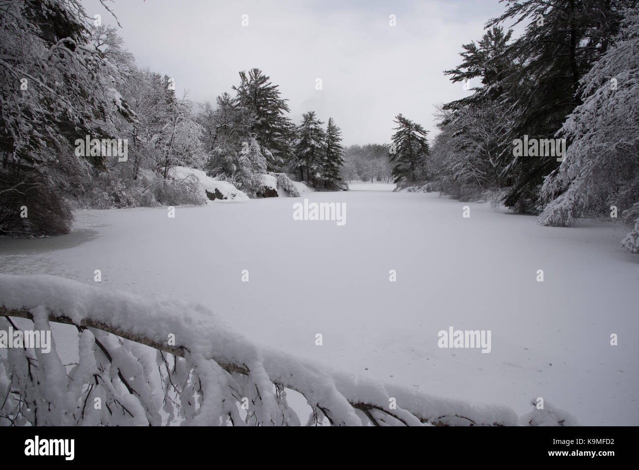Breakheart reservation hi-res stock photography and images - Alamy