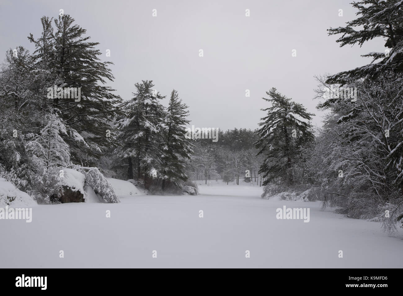 Fresh snow on Pearce Lake in Breakheart Reservation, Wakefield, MA ...