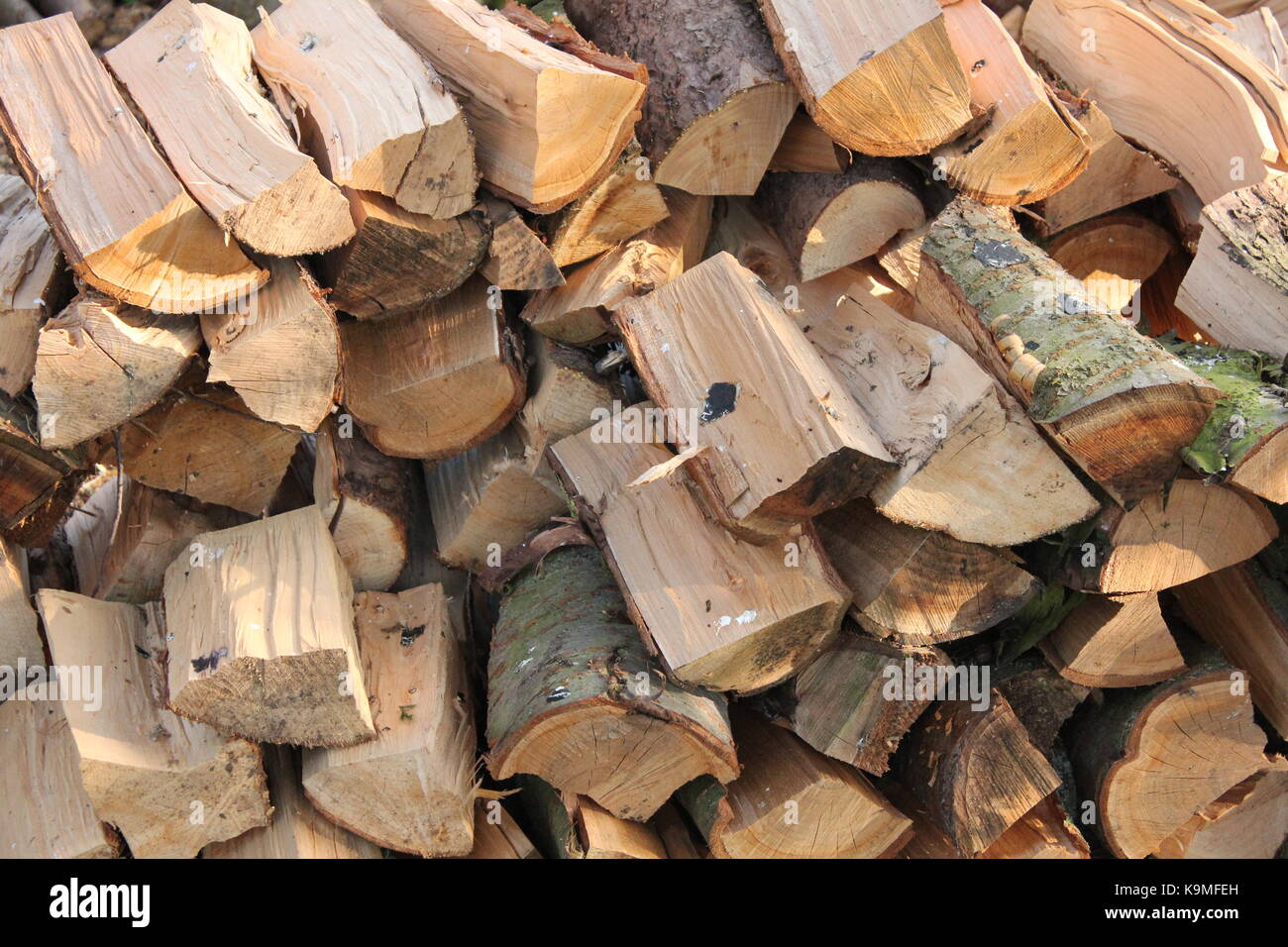 Cut Up Logs Stock Photo - Alamy