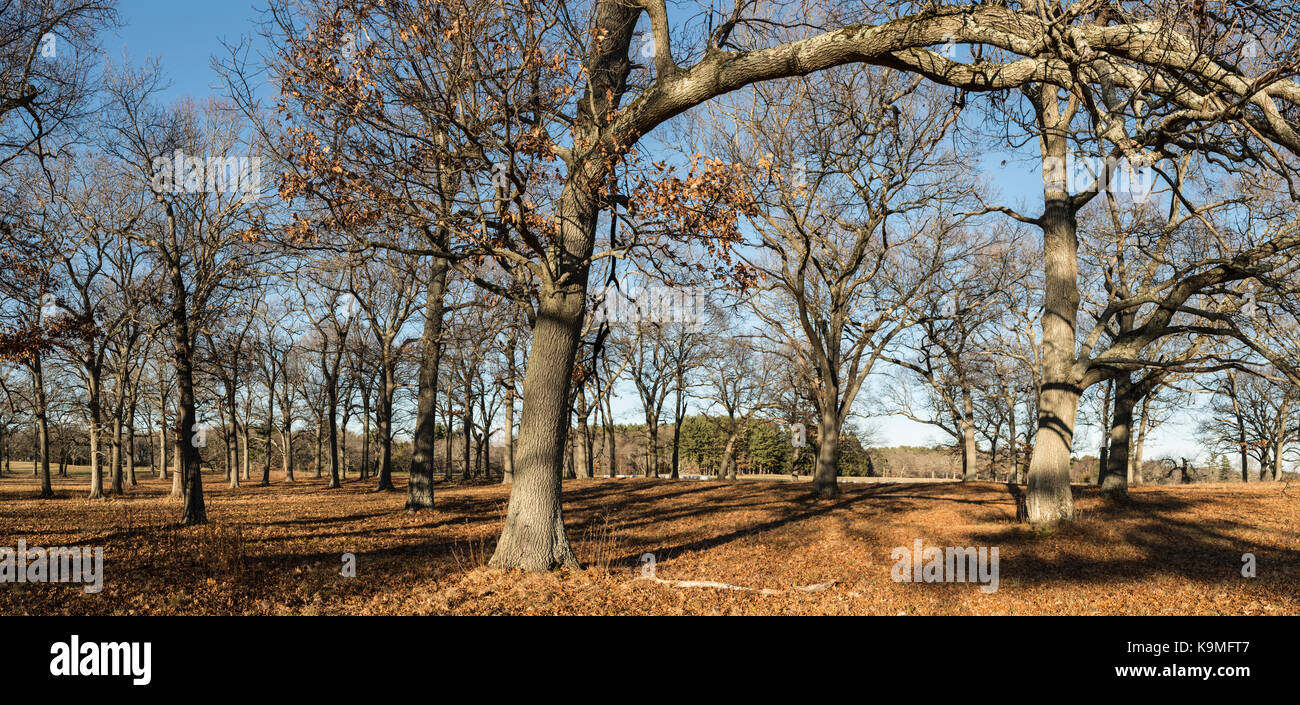Appleton Farms & Grass Rides in Hamilton and Ipswich, MA is the oldest ...