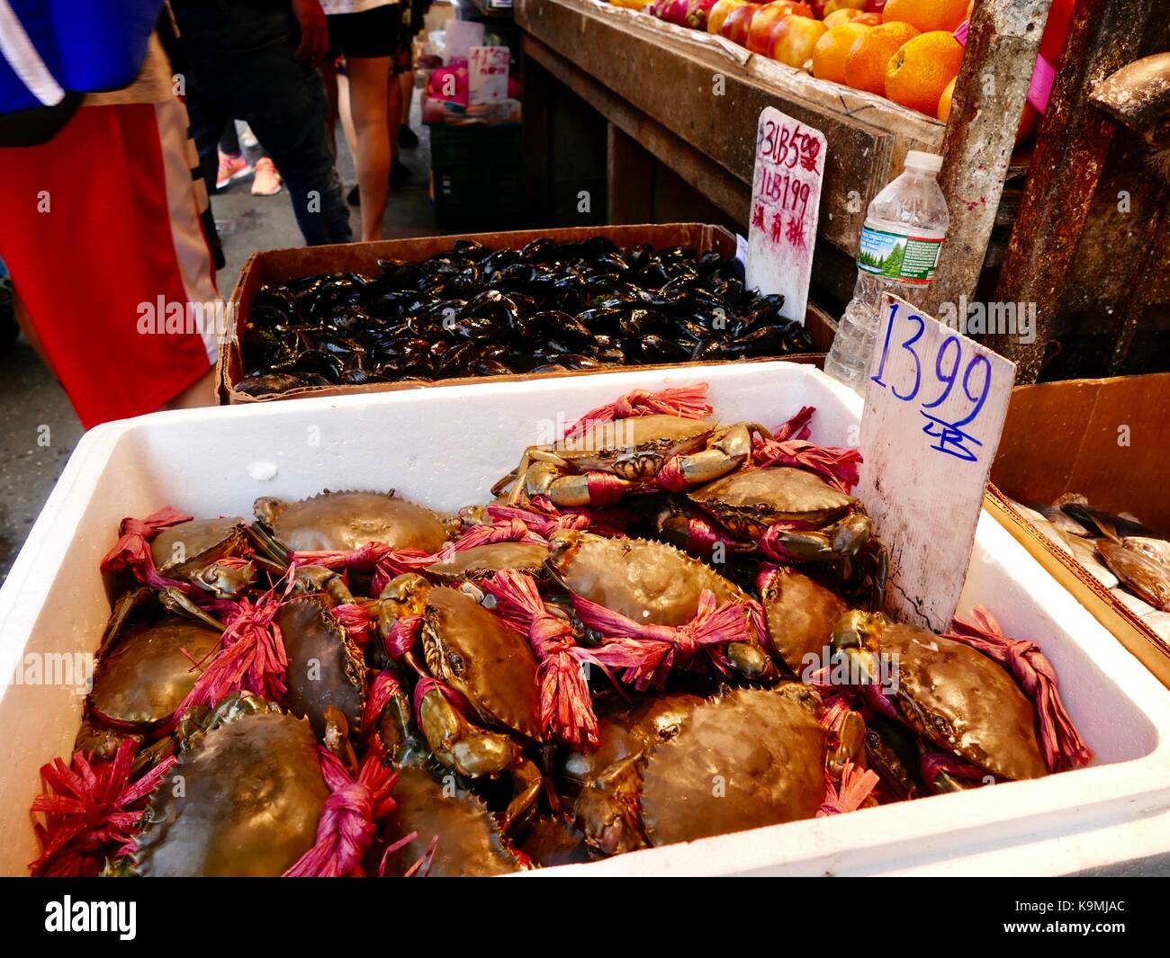 Live crabs tied with raffia, mussels, for sale outside a Chinatown market. Prices and Chinese ...