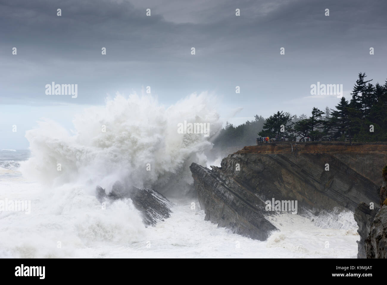 Swells of a Decade Crashing Against the Cliffs of Shore Acres State ...