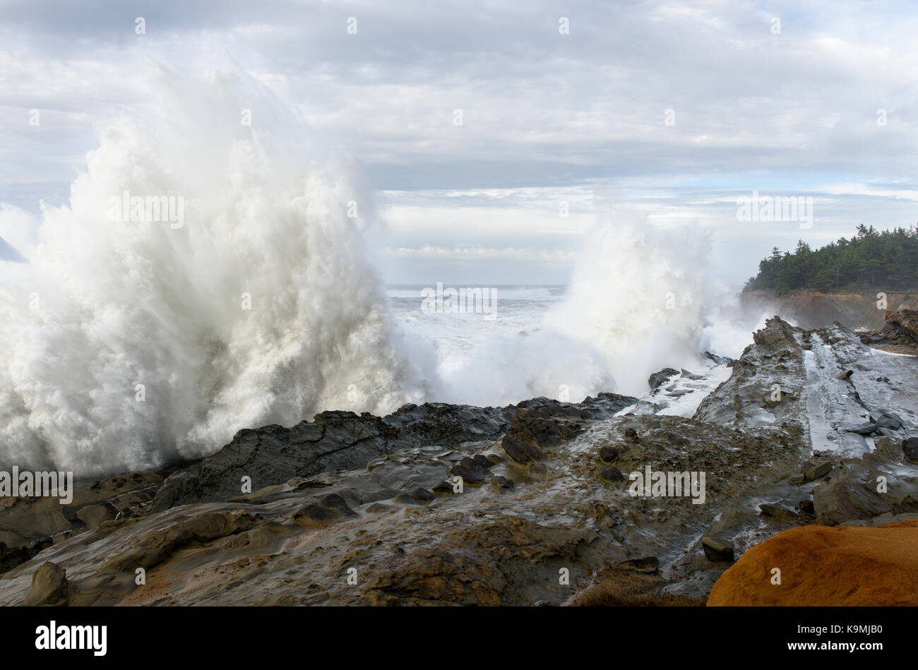 Swells of a Decade Crashing Against the Cliffs of Shore Acres State ...
