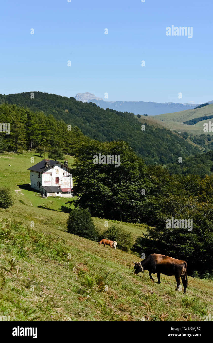 Mountains of the Basque Country in the North of Spain. Photo: Eduardo ...