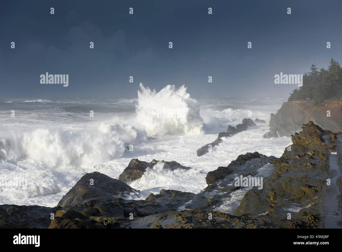 Shore acres state park storm hi-res stock photography and images - Alamy