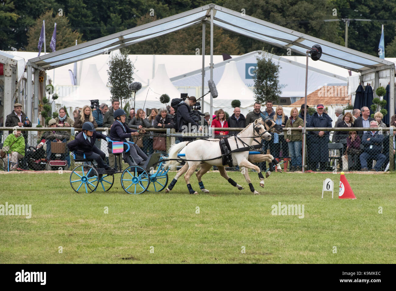 Double Harness Scurry Driving. Scurry driving in the main arena at The ...
