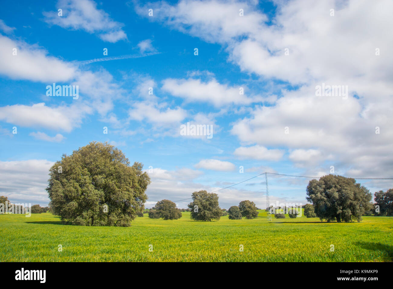 Meadow. Madrid province, Spain Stock Photo - Alamy