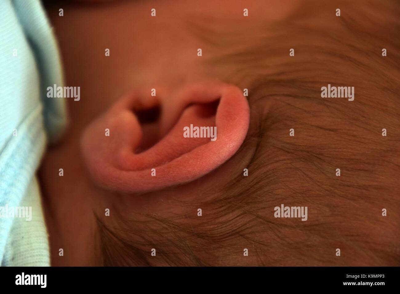 newborn Baby Boy, brand-new Baby, neonate, Little and tiny ear and head ...