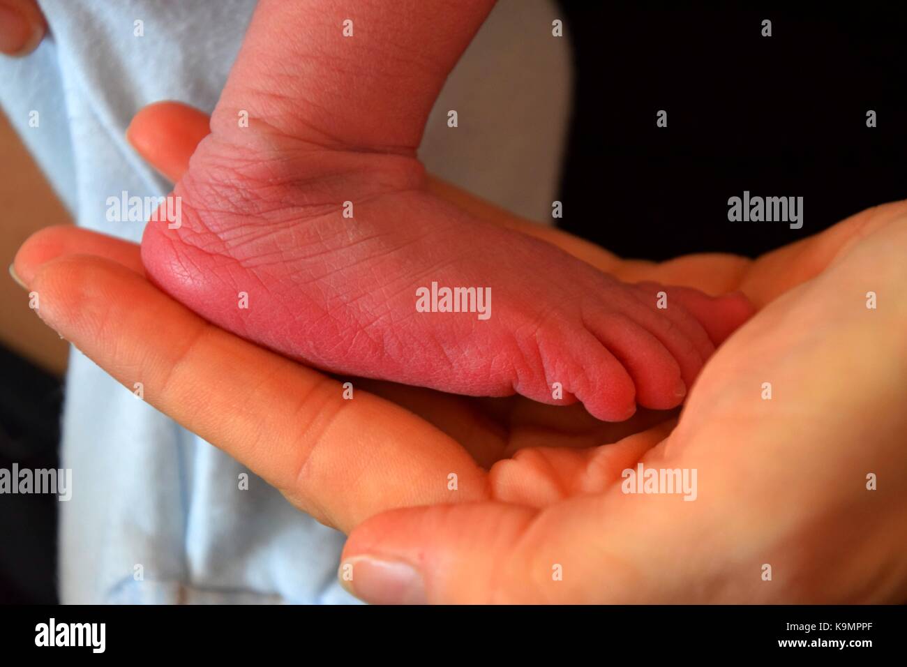 newborn Baby Boy, brand-new Baby, neonate, Little and tiny ear and head ...