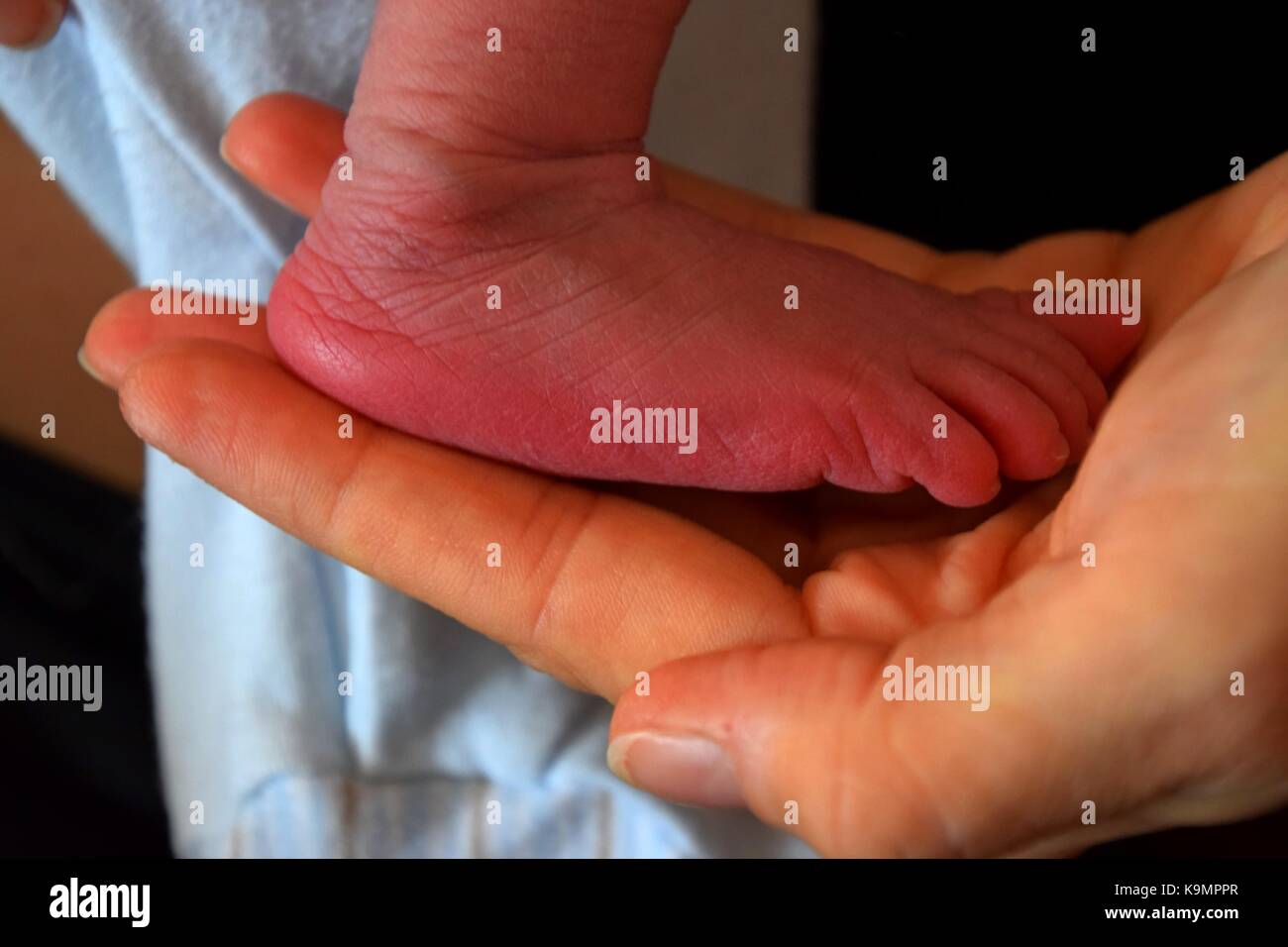 newborn Baby Boy, brand-new Baby, neonate, Little and tiny ear and head ...