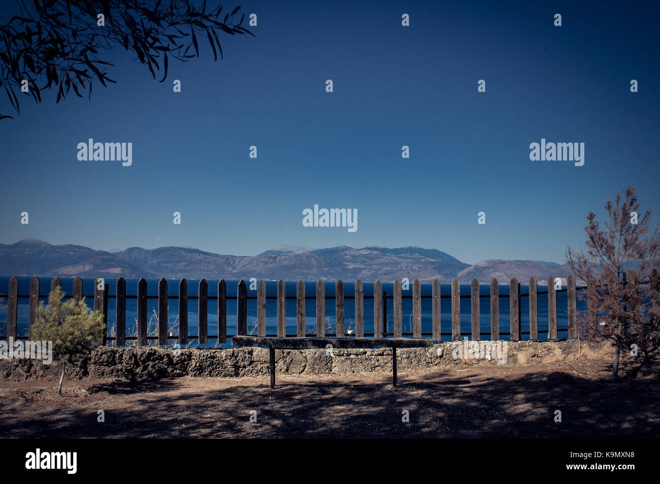 symmetric trees and a bench and a fence to keep the sea and the sky out ...