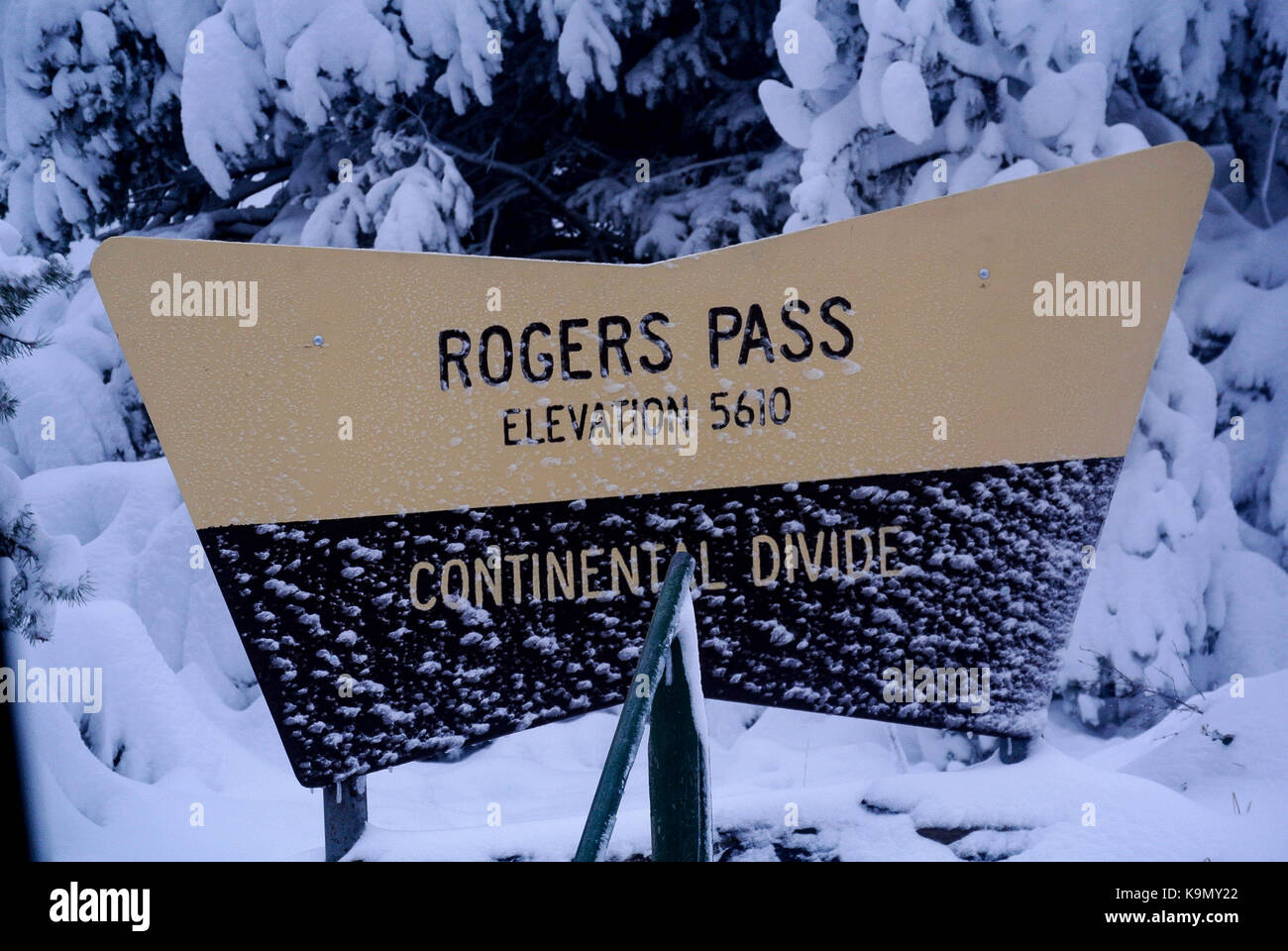 September snow on Rogers Pass Montana Stock Photo - Alamy
