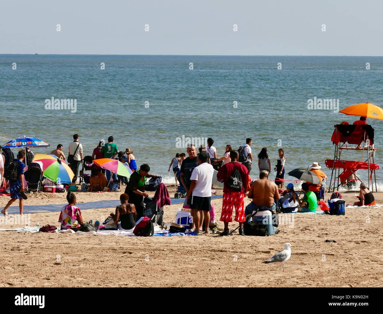 Various people enjoying the beach hi-res stock photography and images ...