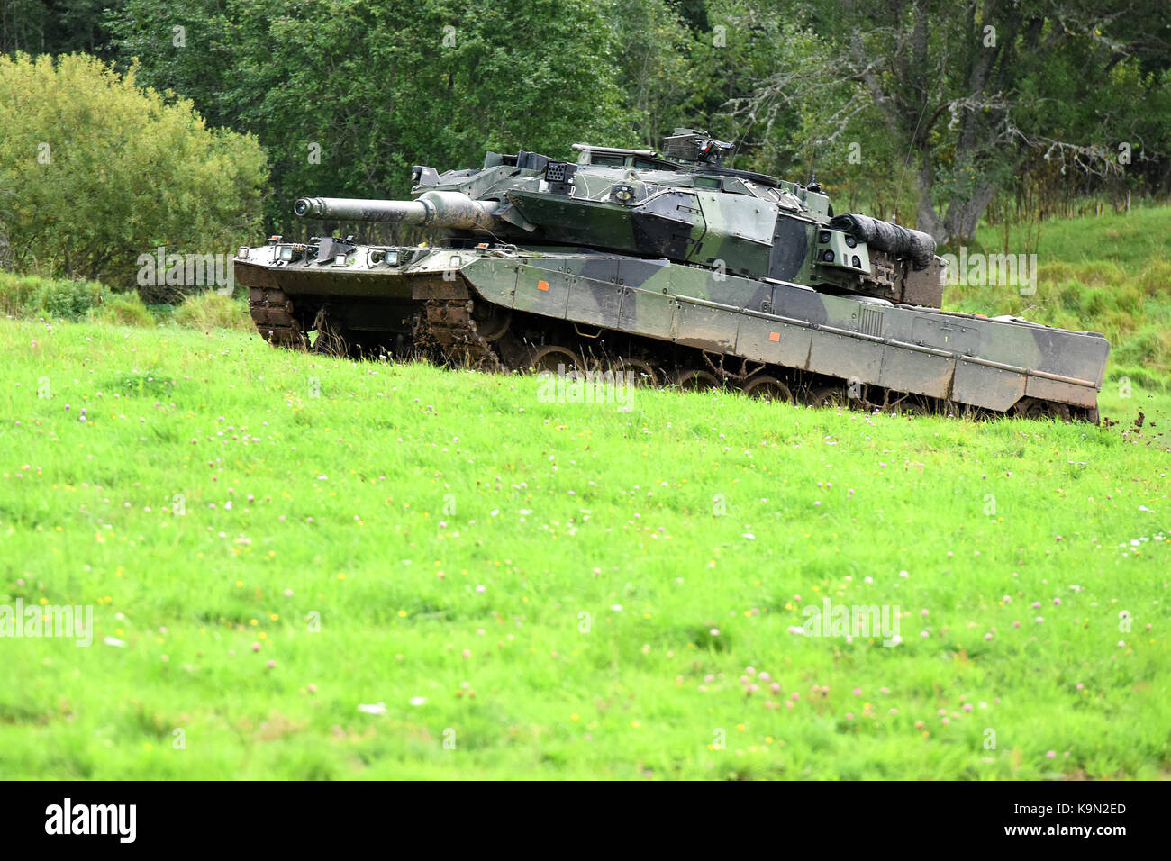 US and Swedish Joint Exercise Aurora 17 Stock Photo - Alamy