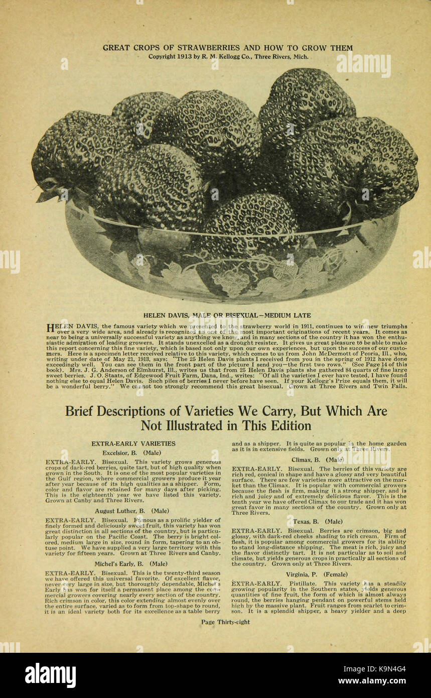 R.M. Kellogg Co. materials (Page 38) BHL47265805 Stock Photo - Alamy