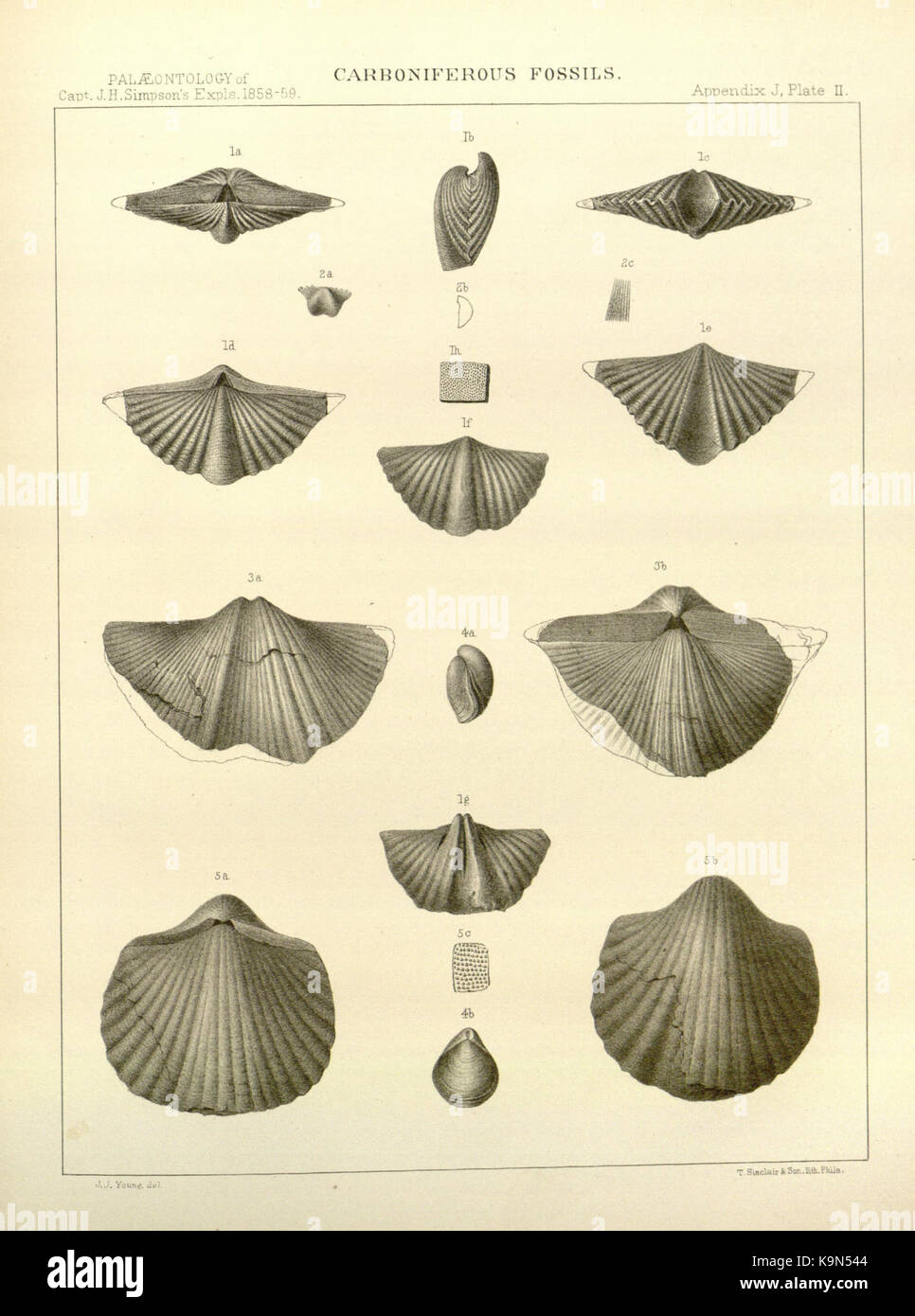 Report of explorations across the great basin of the territory of Utah ...