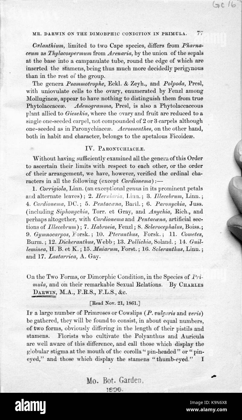 Pollination by Black and White Stock Photos & Images - Alamy