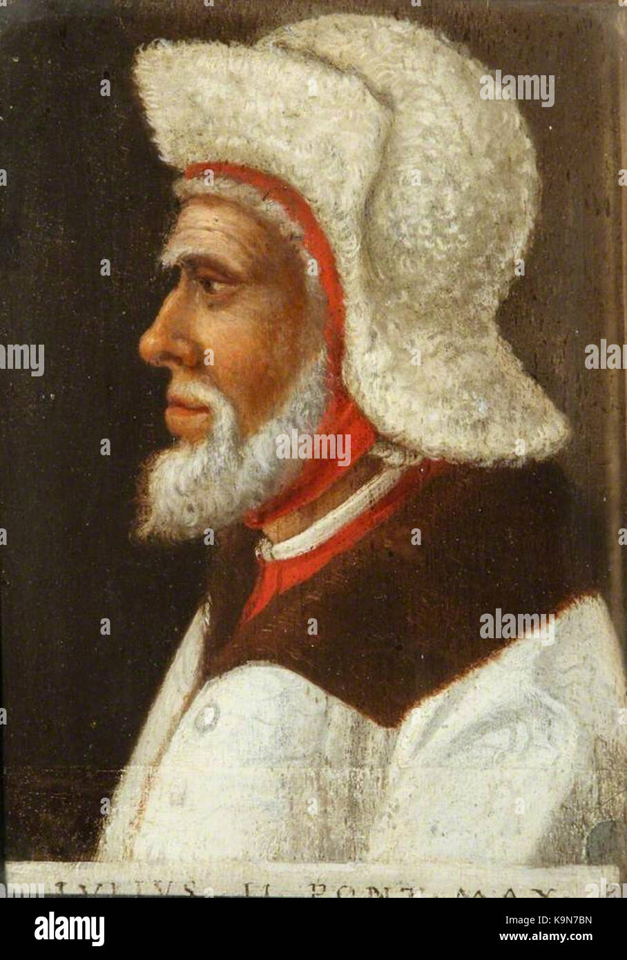 Pope Julius Ii Coat Of Arms