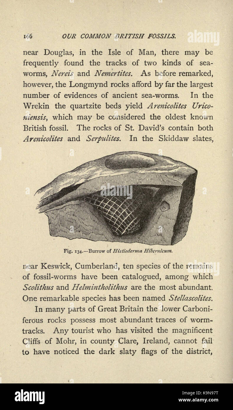 Page 166 of *Our Common British Fossils*, a comprehensive guide on ...