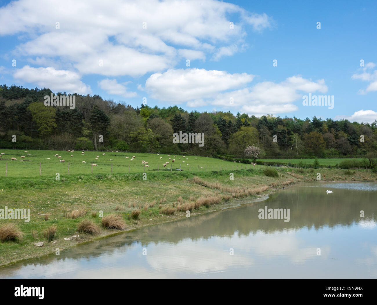 Moorgreen nottinghamshire hi-res stock photography and images - Alamy