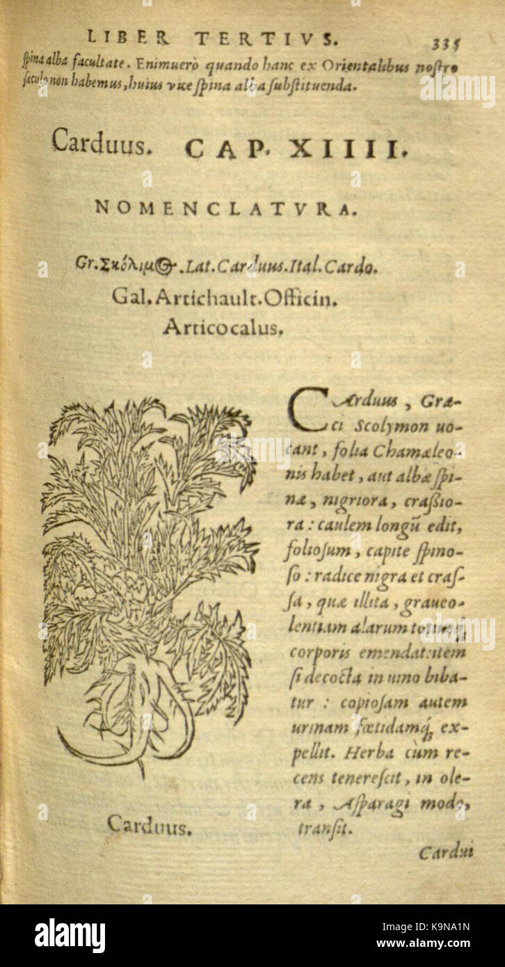 A page from *De Medicinali Materia*, a 1st-century Greek medical text ...