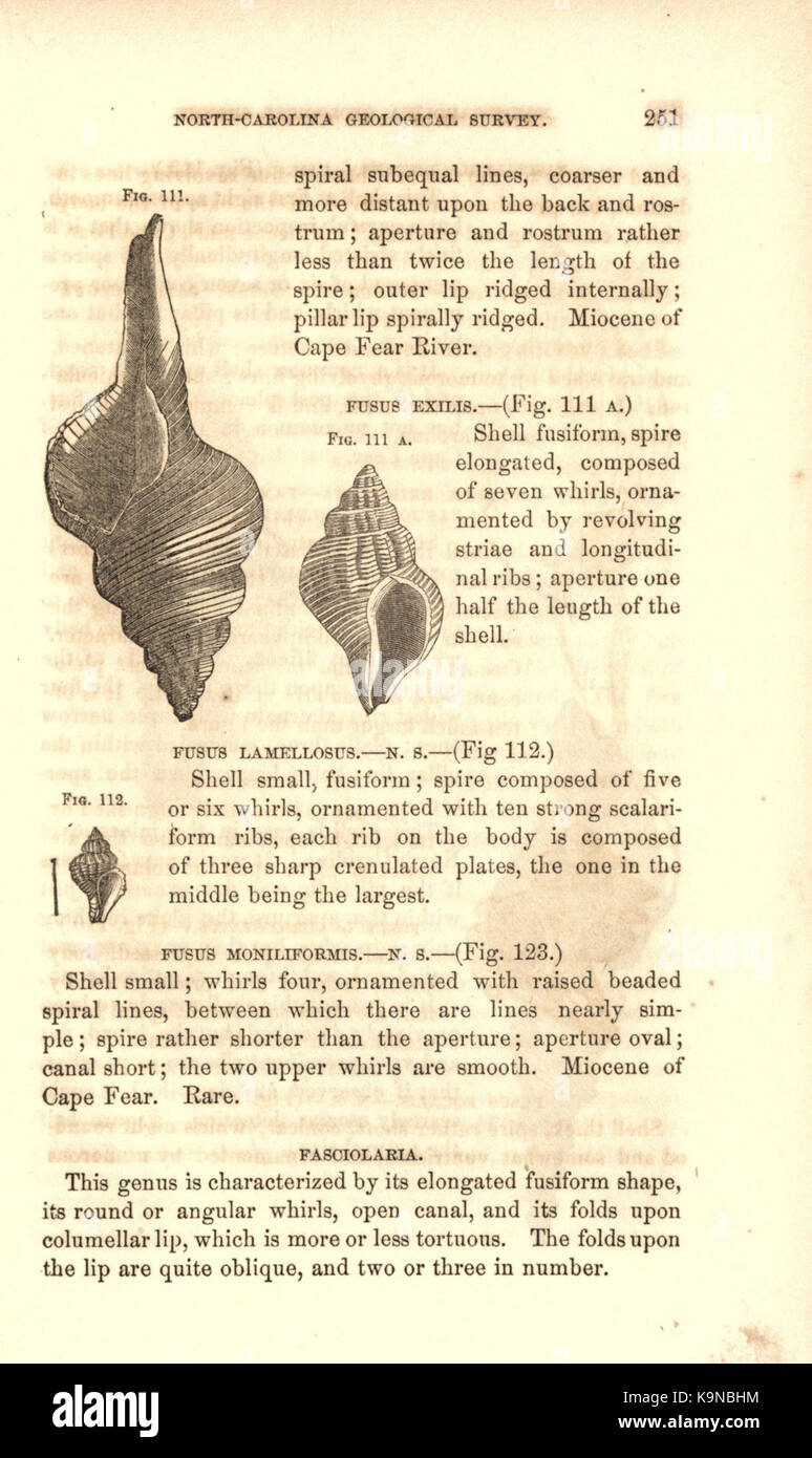 Report of the North Carolina geological survey (Page 251) BHL17555209 ...