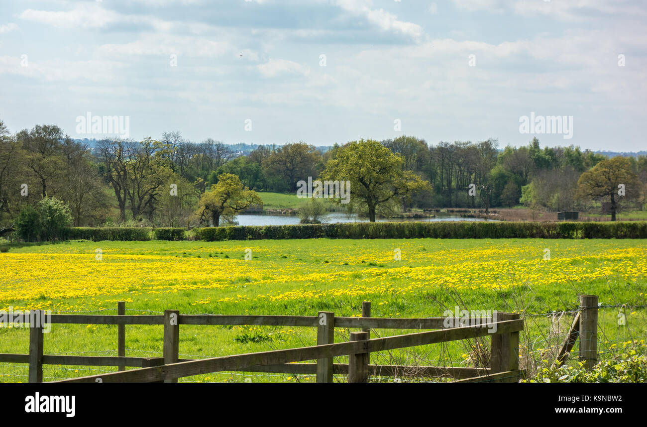 Landscape views over fields at Beauvale Priory Nottinghamshire Stock ...