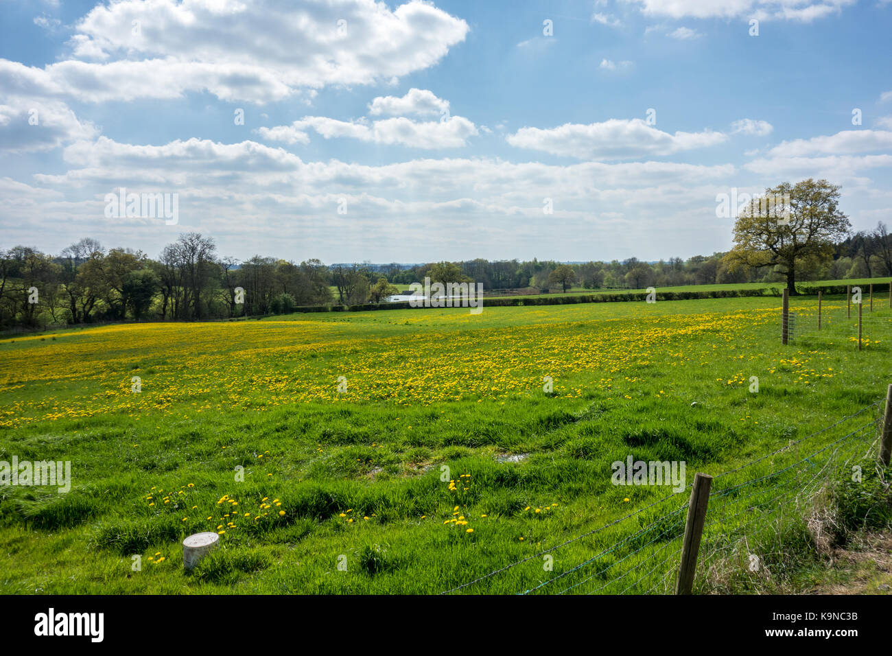 Moorgreen nottinghamshire hi-res stock photography and images - Alamy