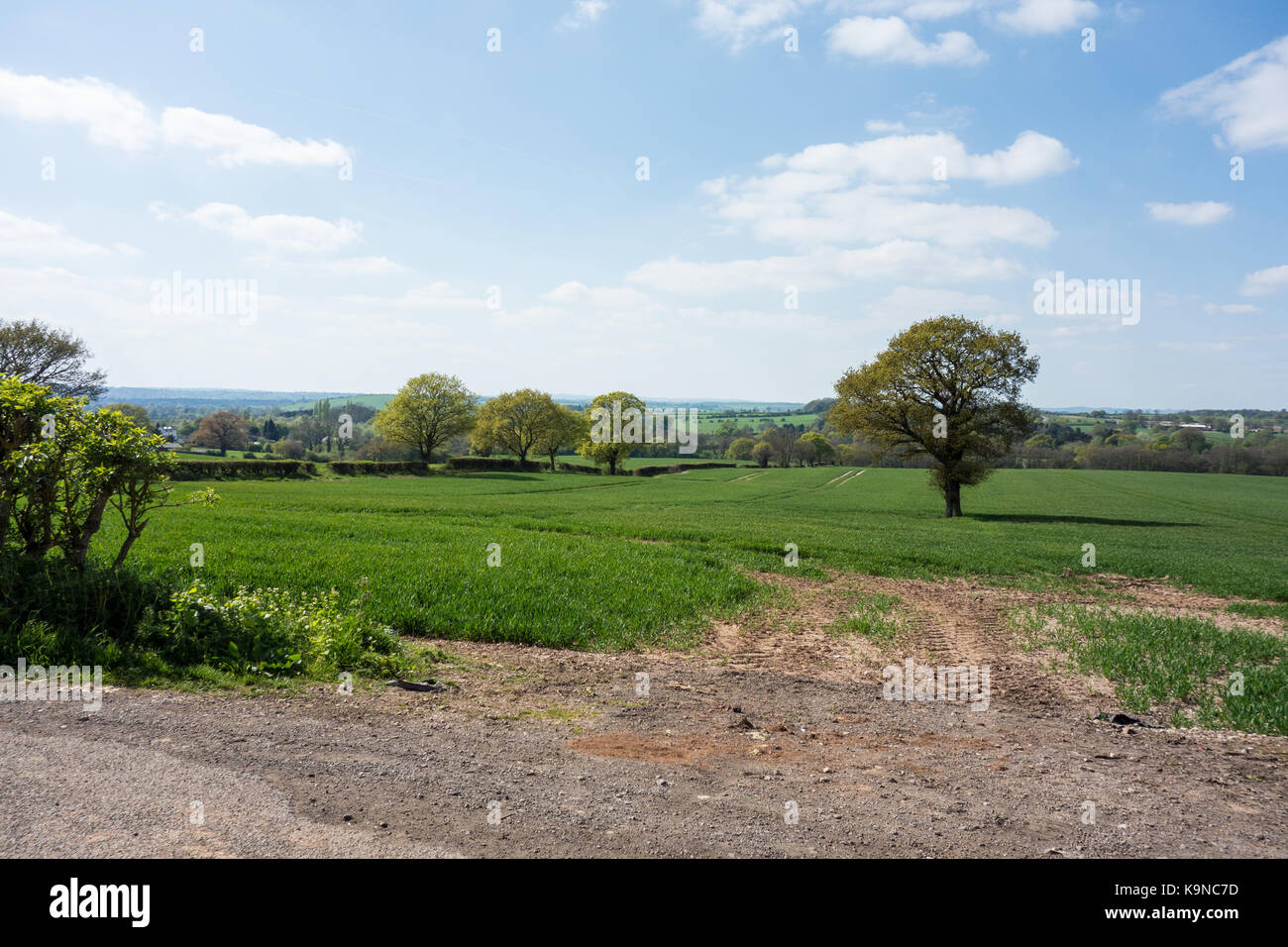 Landscape views over fields at Beauvale Priory Nottinghamshire Stock ...