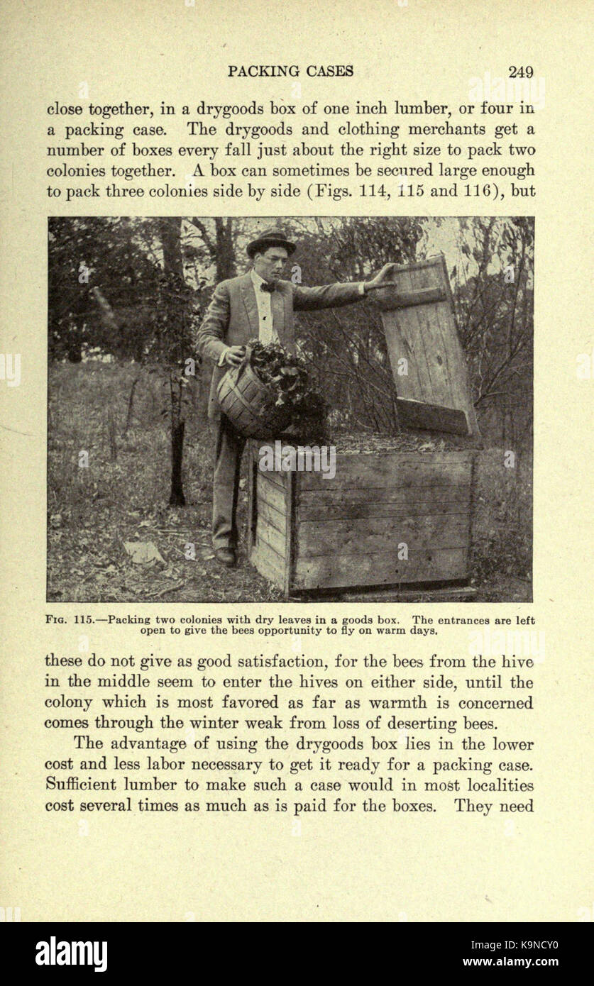 Productive bee keeping (Page 249) BHL24076549 Stock Photo - Alamy
